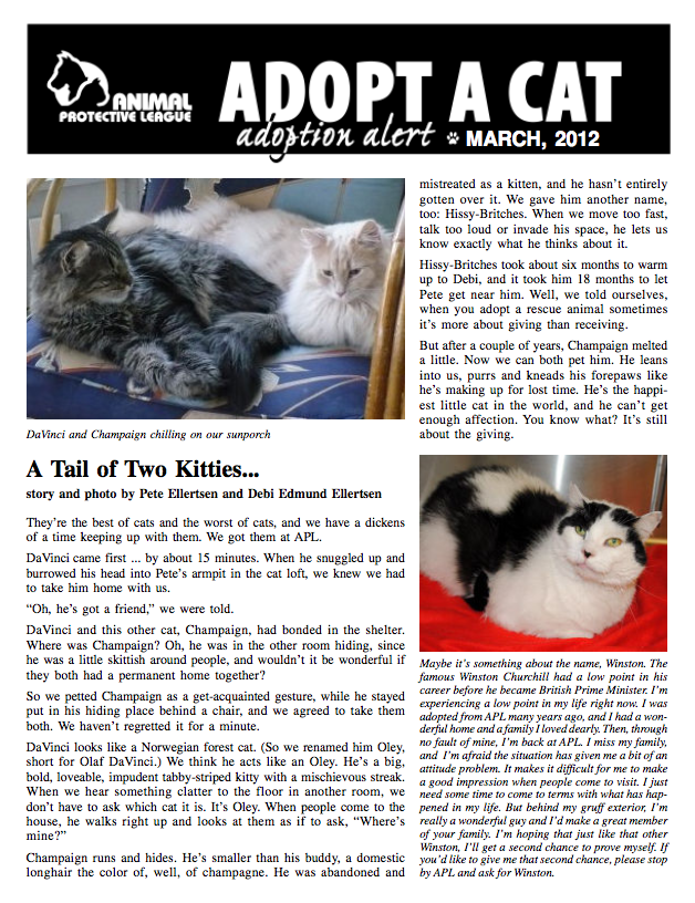 A bittersweet reminder of the time we adopted two truly awesome rescue ...