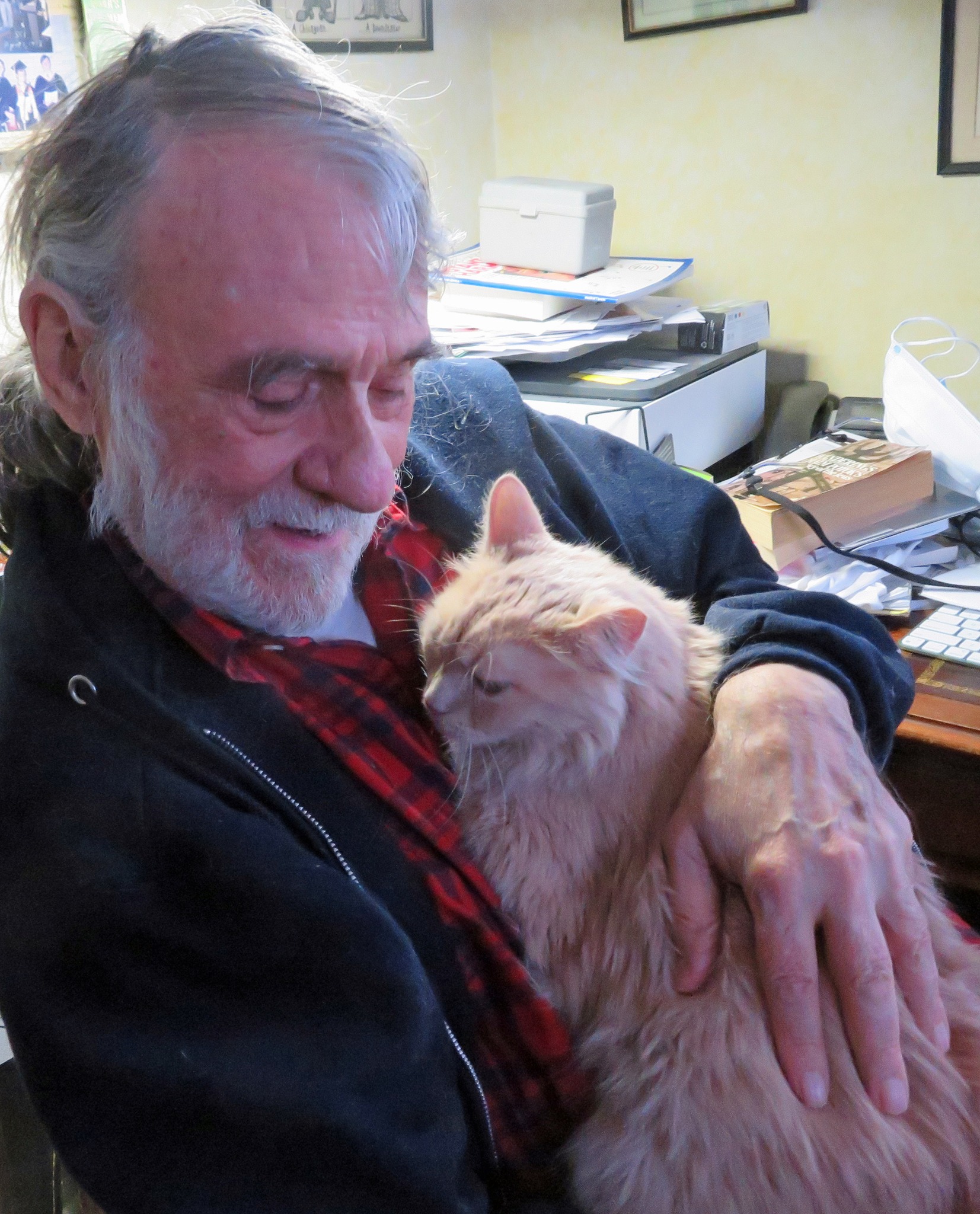 A canticle for Brother Cat (for Bryce and strays, ferals and rescues ...